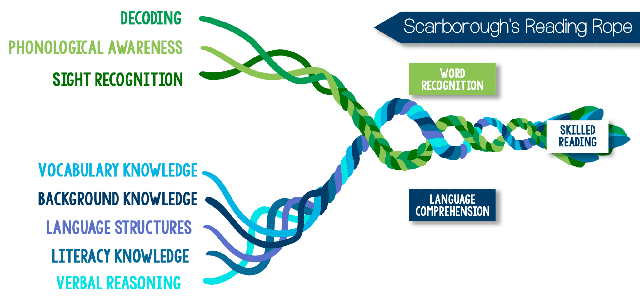 Reading | Wordplay English Language Center